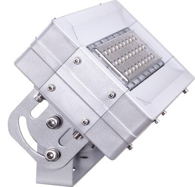 Cina 30W 100 - 240V luci di inondazione impermeabili di CA LED 3000K - 6500K in vendita