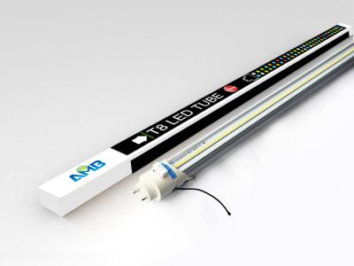 Cina Il risparmio energetico T8/T10 ha condotto le lampade 12W/22W/28W G13 della metropolitana in vendita