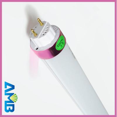 Cina Casa, ufficio, Hotel bianco 3528 SMD / 2500 MCD dimmerabile T8 LED in vendita