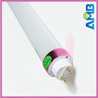 Cina Energia risparmiando 12W DC 12V / 24V Pathway Steet dimmerabile T8 LED Tube in vendita
