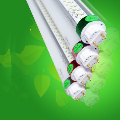 Cina La famiglia T10/metropolitana fluorescente dell'ufficio accende la CC di SA218 9W/CA SMD 3528 in vendita