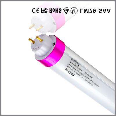 Cina 9W AC185 - 77V SMD ha condotto i tubi fluorescenti della sostituzione, Everlight 3528 tubi principali T10 in vendita