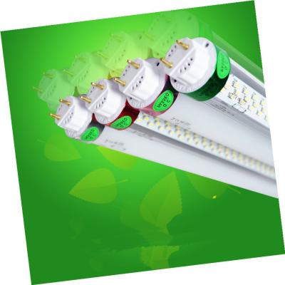 Cina 5F, 6F, Led bianco 8F tubi fluorescenti per scuola, ufficio in vendita