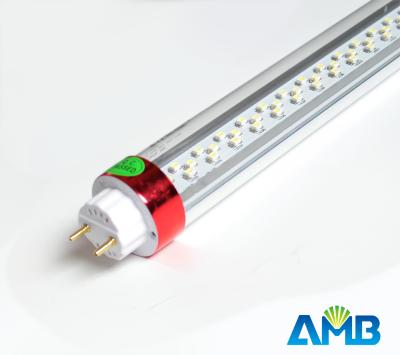 Cina 12W CM 90 CE, RoHS Evergy risparmio ha portato T8 tubo fluorescente luci SL318 in vendita