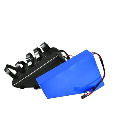 Cina Customized Capacity Triangle Electric Bike Battery With Brand 18650 Cells in vendita