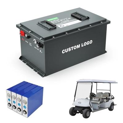 Cina 51.2V Lithium Iron Phosphate Battery With Smart BMS For Golf Cart in vendita