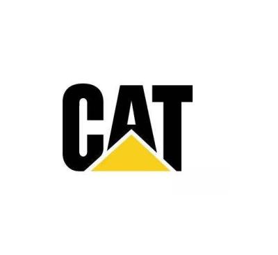 Cina Parti dell'escavatore di Caterpillar in vendita