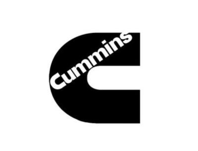 Cina pezzi di ricambio di Cummins Engine in vendita