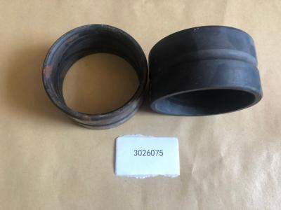 Cina Imbussolare 3026075 escavatore Engine Parts in vendita