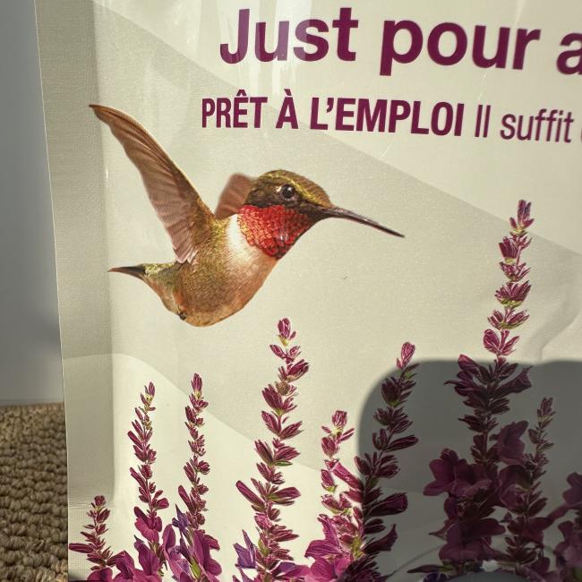 Custom full‑color printed hummingbird artwork on bird nectar flexible stand‑up spout pouch