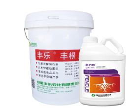 Cina GenLiAng Water Soluble Fertilizer Containing Humic Acid in vendita