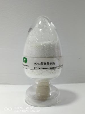 China Tribenuron-Methyl- weiße Energie 97% TC des agrochemischen Schädlingsbekämpfungsmittels zu verkaufen