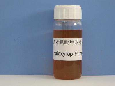 China Haloxyfop - R - Methyl- 97% TC, Flüssigkeit Browns Slabby, treffen auf Sojabohne, Ölsaat zu, um jährliche Unkräuter zu töten zu verkaufen