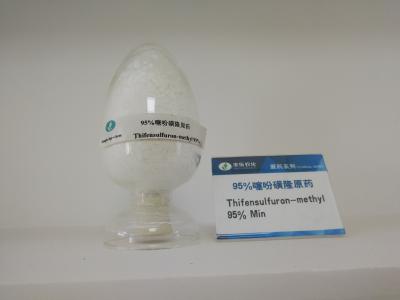 China Thifensulfuron Methyl 95% TC, weißes Pulver, agrochemisches Schädlingsbekämpfungsmittel-Herbizid zu verkaufen