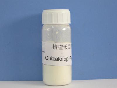 China Quizalofop-P- Ethyl95%TC, 98%TC, Sojabohne/Baumwollagrochemisches Schädlingsbekämpfungsmittel für jährliche grasartige Unkräuter, elfenbeinfarbenes Pulver zu verkaufen