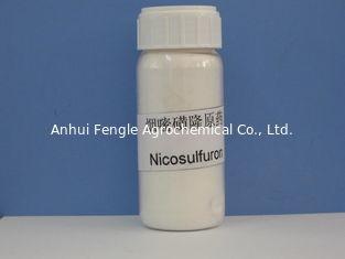 China Herbicide Nicosulfuron 97% TC CAS No 111991-0904 zu verkaufen