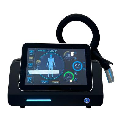 China Pmst Loop Pemf Therapy Machine For Human Pain Relief Animals Health Care for sale