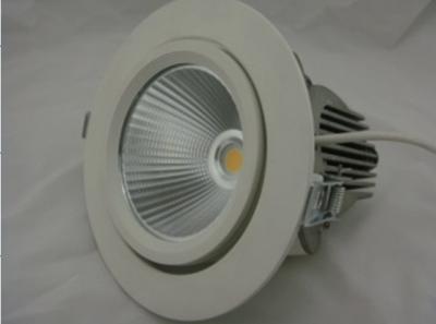 中国 中国 zhongshan30w の市民のトランク ライト、導かれる良質象の鼻の形の長命のスパン 販売のため