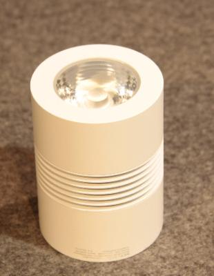 Cina L'alta superficie del chip del cittadino di forma rotonda del lume montata ha condotto il downlight per la casa ed all'estero in vendita