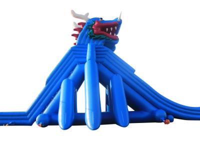 Cina Materiale del PVC di durevolezza dell'adulto blu del drago/acquascivolo gonfiabile dei bambini alto in vendita