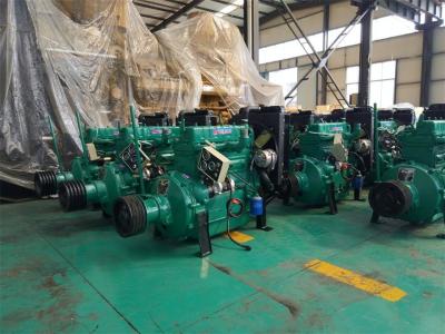중국 가치없는 분쇄기를 위한 위기와 벨트 바퀴와 40 kw/55hp 2200rpm 디젤 엔진 판매용