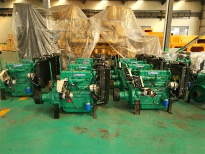 중국 가치없는 분쇄기를 위한 위기와 벨트 바퀴와 40 kw/55hp 2200rpm 디젤 엔진 판매용