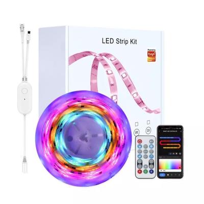 Cina Home Bar LED Light Strips Garden Design Supporto Dimmer 12V 32ft Smart 5050 RGB 1670 in vendita
