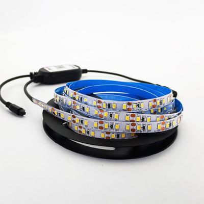 China 12V Flex LED Strip Light SMD 2835 Dual Color Temperature LED Strip for sale