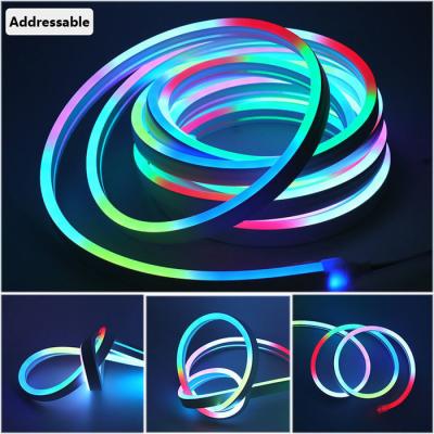 China Flexible Multicolor Neon Light Strips Addressable RGBIC LED Neon Rope Light 25mm for sale