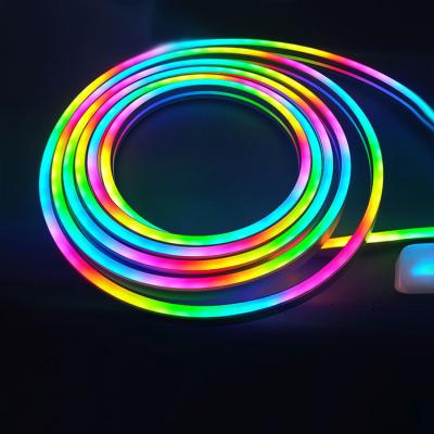 China Fantasy Addressable RGBIC Neon Rope Light 12V 5M Cuttable LED Strip Lights for sale