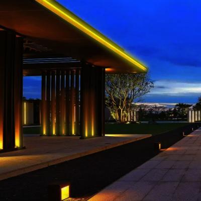 China Fantasy Addressable RGBIC Neon Rope Light 12V 5M Cuttable LED Strip Lights for sale