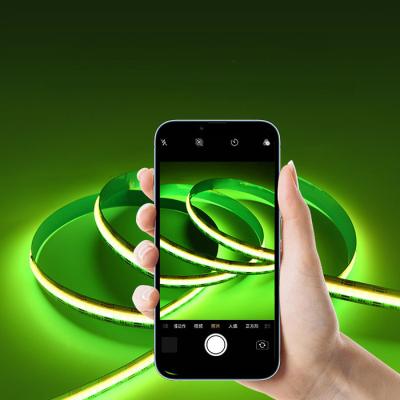 China 10000lm/m COB LED Strip 12V 576 Dimmable Outdoor LED Strip Lights IP20 for sale