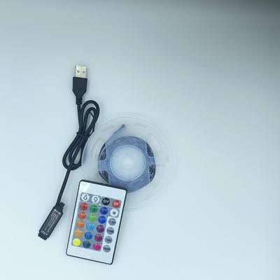 Cina Luci del nastro di IP65 2M 2.4W RGB in vendita