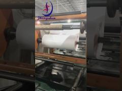 Customization Poultry PP/PE Manure Removal Belts from Zhongshen
