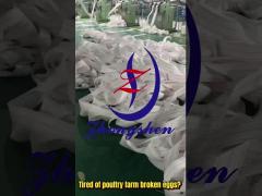 Advanced Multi-Layer Poultry Cage Zhongshen Egg Conveyor Belt