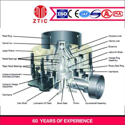 Cina Moduli fresanti d'acciaio fondenti su ordinazione dell'albero primario 10-60 del frantoio del cono in vendita