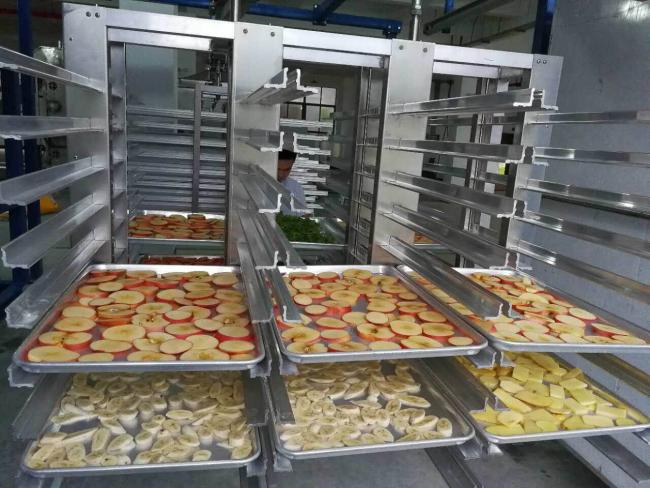 fruit freeze drying machine