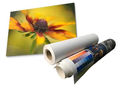 Chine Latex Matte Waterproof Polyester Canvas Roll Eco 280gsm dissolvant à vendre