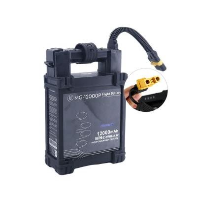Cina Agras Mg1P Mg12000P Original Agricultural UAV Lithium Mg-1P Mg-1S Mg-1 Mg-12000P Battery For DJI Agras Mg1P Agriculture Drone in vendita