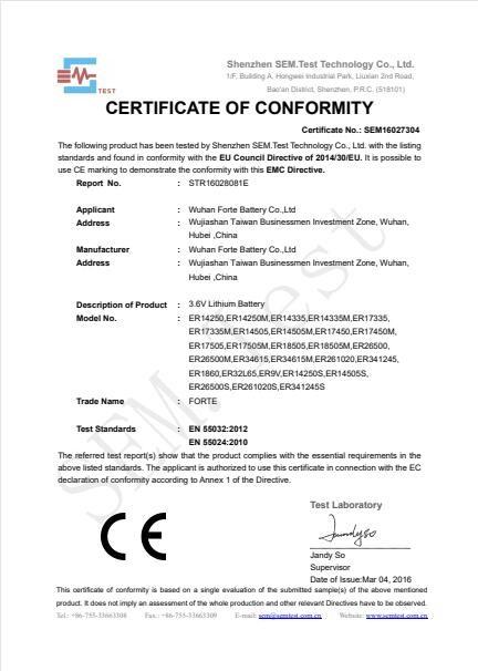 CE - Wuhan Forte Battery Co;ltd
