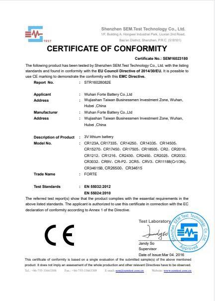 CE - Wuhan Forte Battery Co;ltd