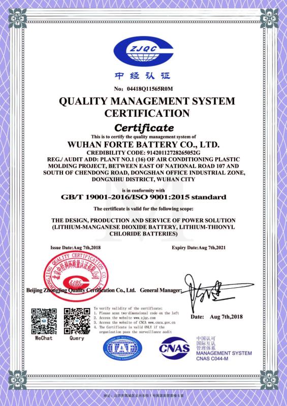 ISO9001 - Wuhan Forte Battery Co;ltd