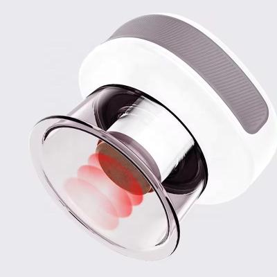 중국 Fitdash 스마트 비안-스톤 전기 컵링 치료 세트 다리 마사지 및 199g 순중량 판매용