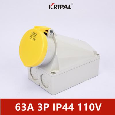 中国 63A IP44の防水ヨーロッパの表面の取付けられたソケットIECの標準 販売のため