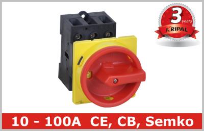 China 10A 16A 20A 25A 32A 40A 50A 63A 80A 100A Roterende het Isoleren Achteraan gemonteerde Schakelaar Te koop