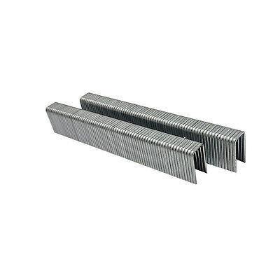 Cina 9028 18 Gauge 1/4 Crown 28mm Staple e con ANSI Standard in vendita