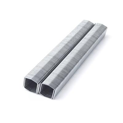 Cina Stcr5019 Serie 20 Gauge 11,60 mm Corona 10 mm Furniture Staple in vendita