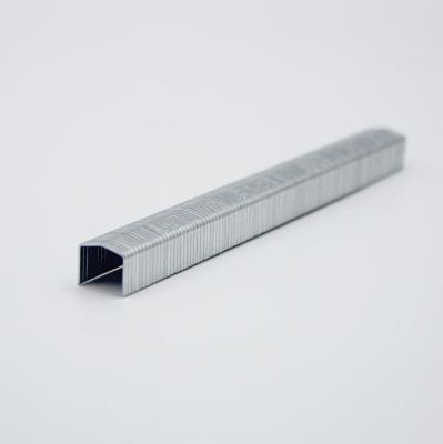Cina STCR5019-6 20 Gauge 11.50mm Crown 6mm Furniture Staple ANSI Standard per 6mm Crown in vendita