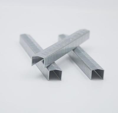 Cina STCR5019-8 Furniture Wire Staples 20 Gauge 11.50mm Crown 8mm per la lavorazione del legno in vendita