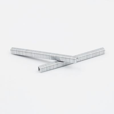 Cina Acciaio U-Type Nail 20 Gauge 406j Staples per tappezzeria Serie 4j in vendita